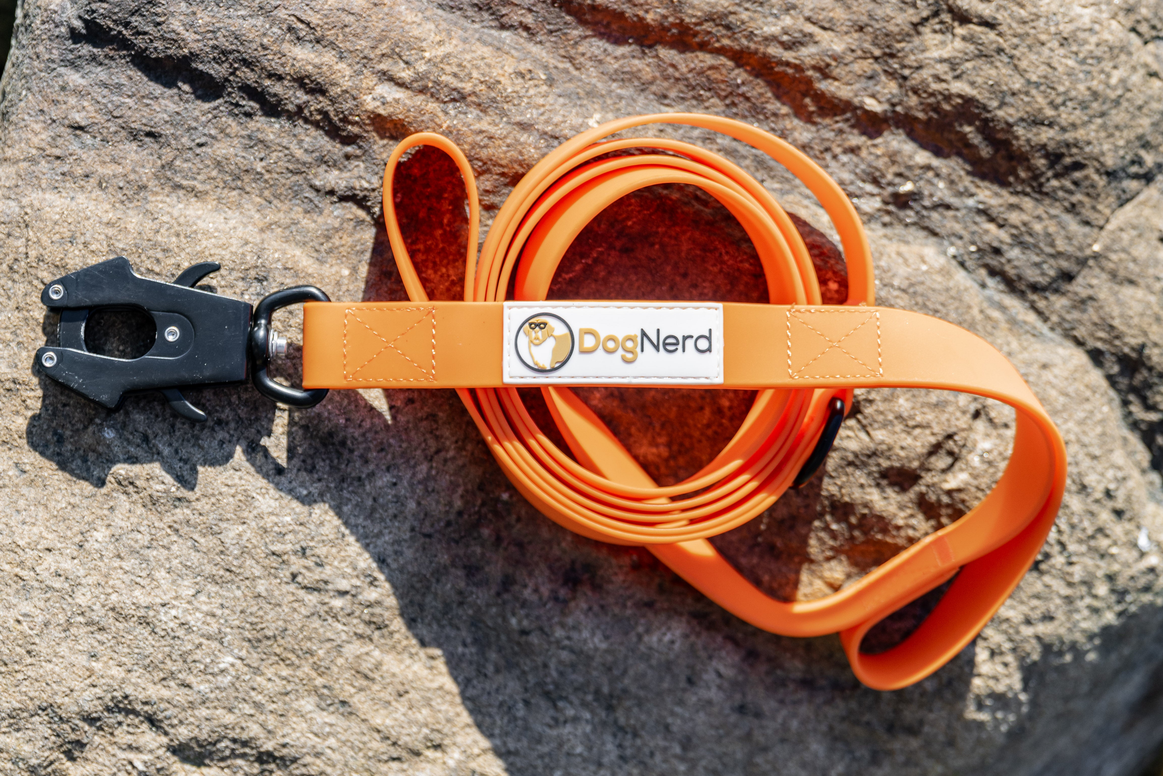 simpLEash Dual Handle - 6 Foot Silicone Leash – DogNRD