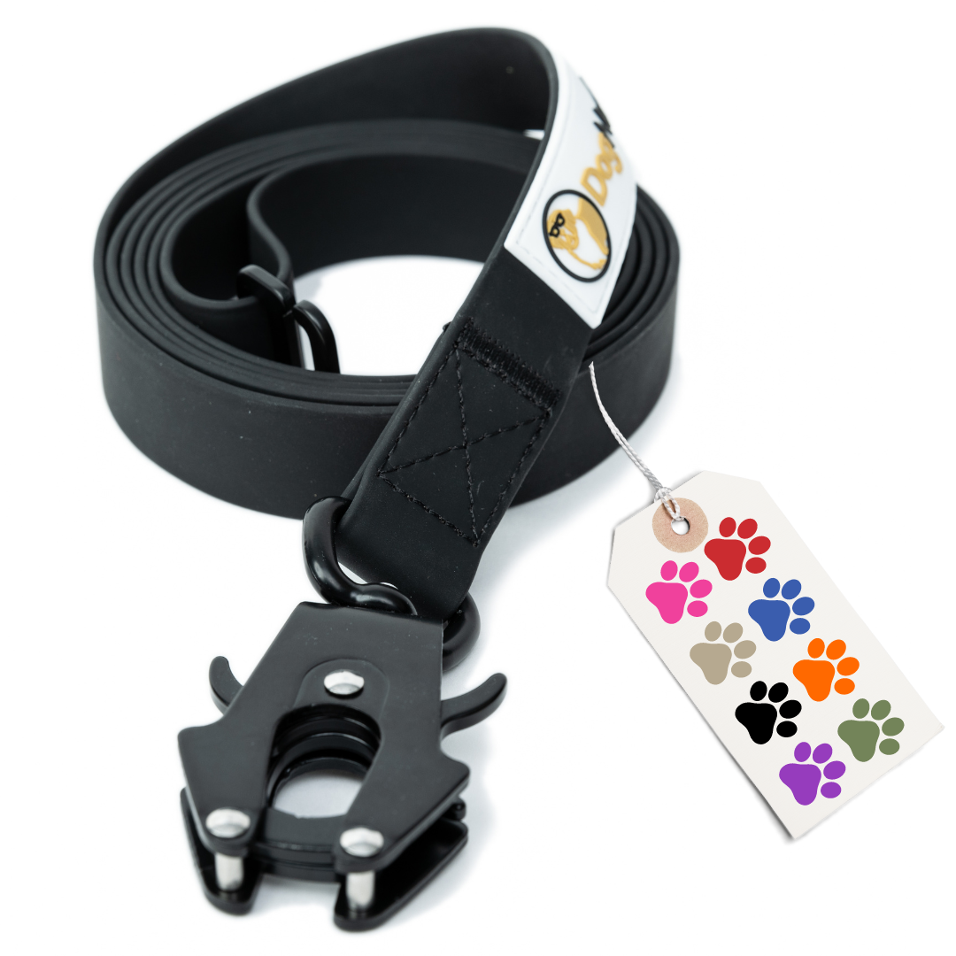 simpLEash - 6 Foot Silicone Leash – DogNRD